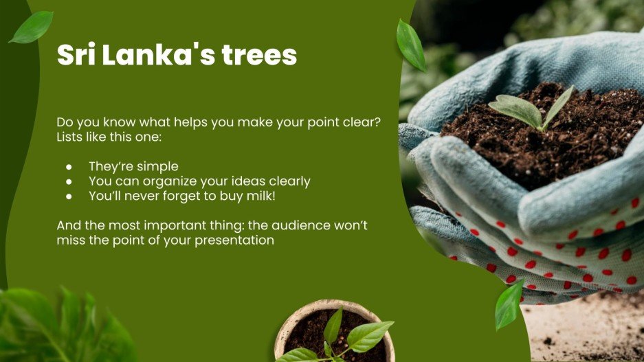 Tree Care Workshop to Celebrate Sri Lanka's Tree Planting Day