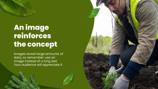 Tree Care Workshop to Celebrate Sri Lanka's Tree Planting Day