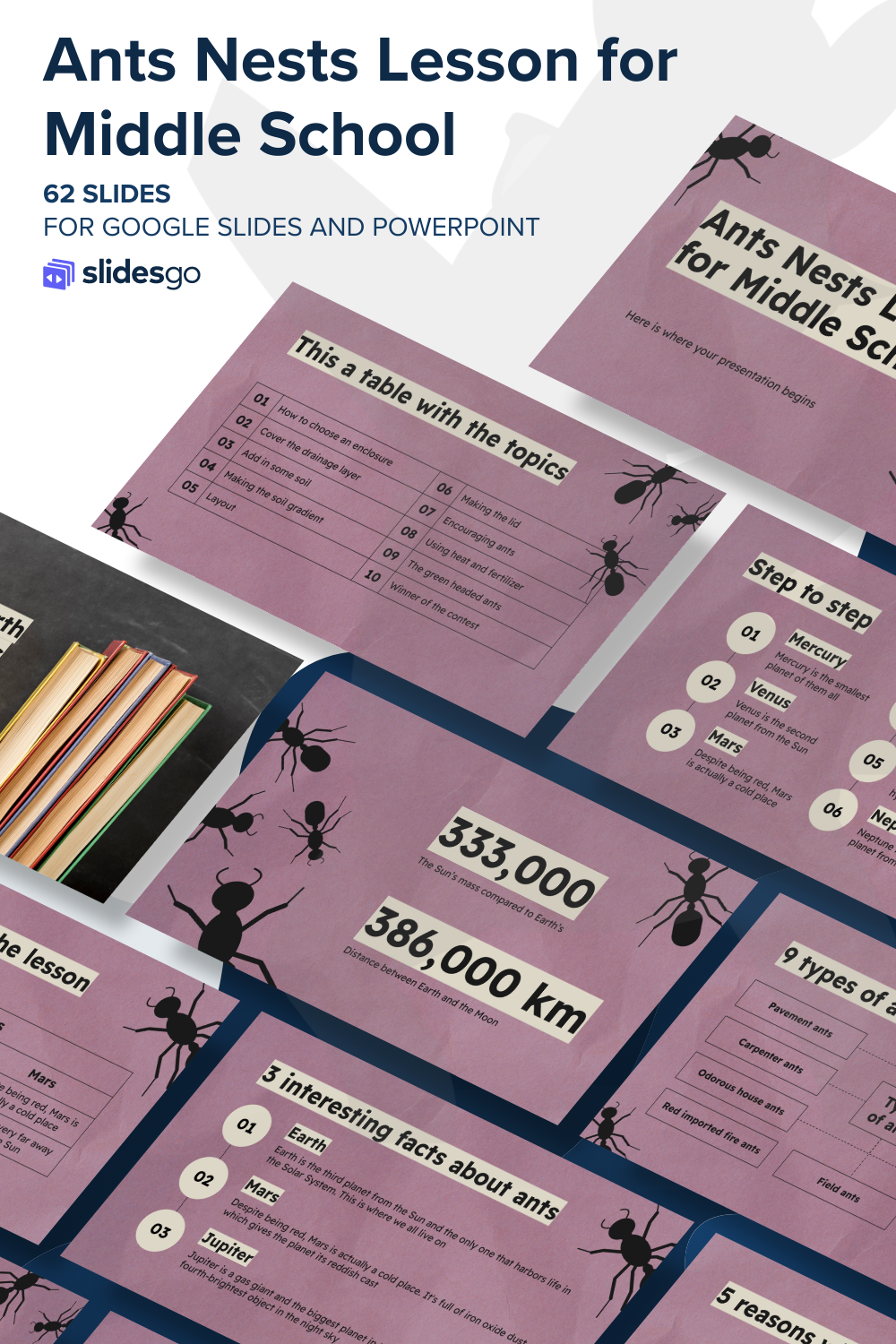 Ants Nests Lesson for Middle School | Google Slides & PPT