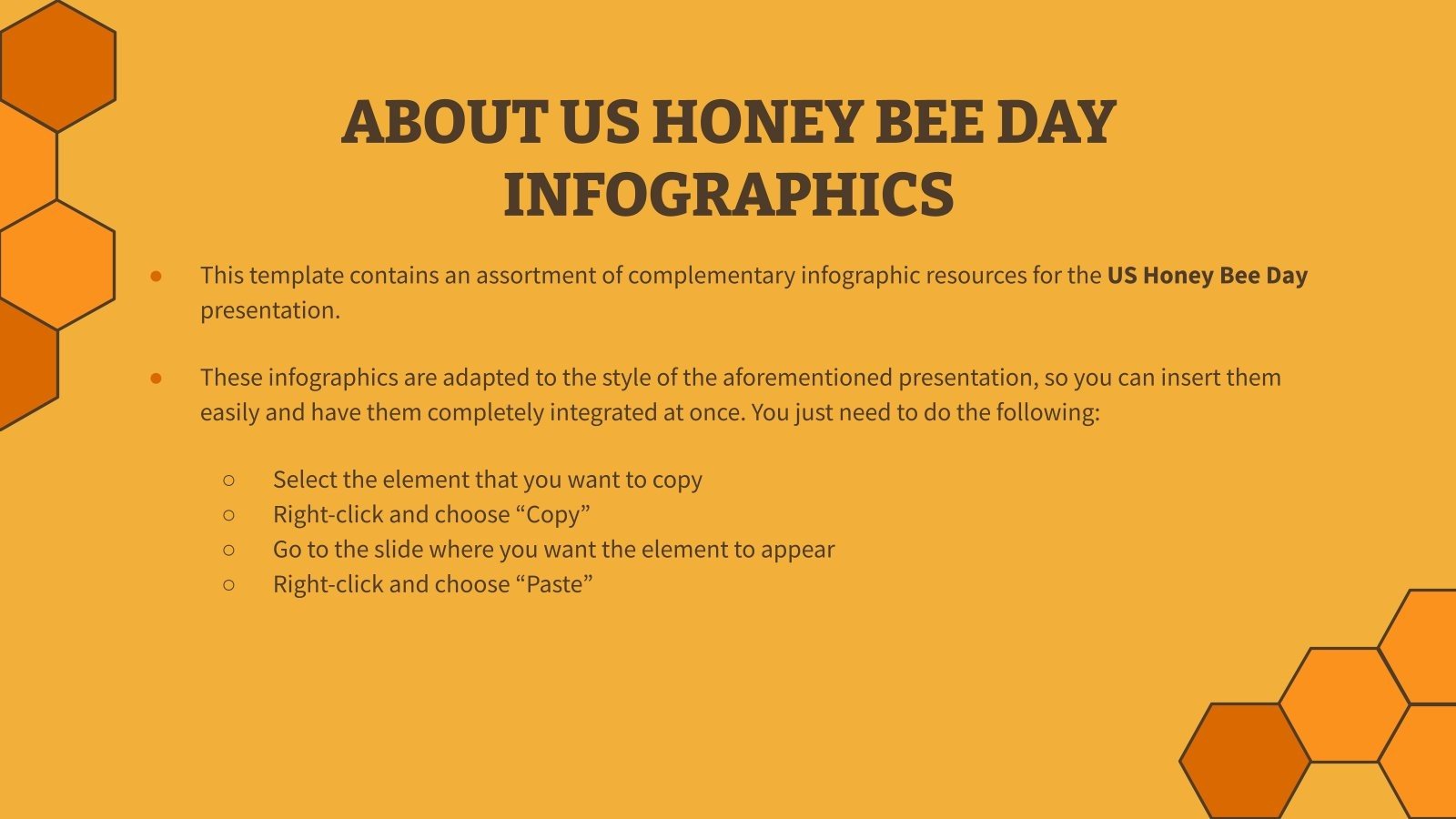 US Honey Bee Day Infographics | Google Slides & PowerPoint