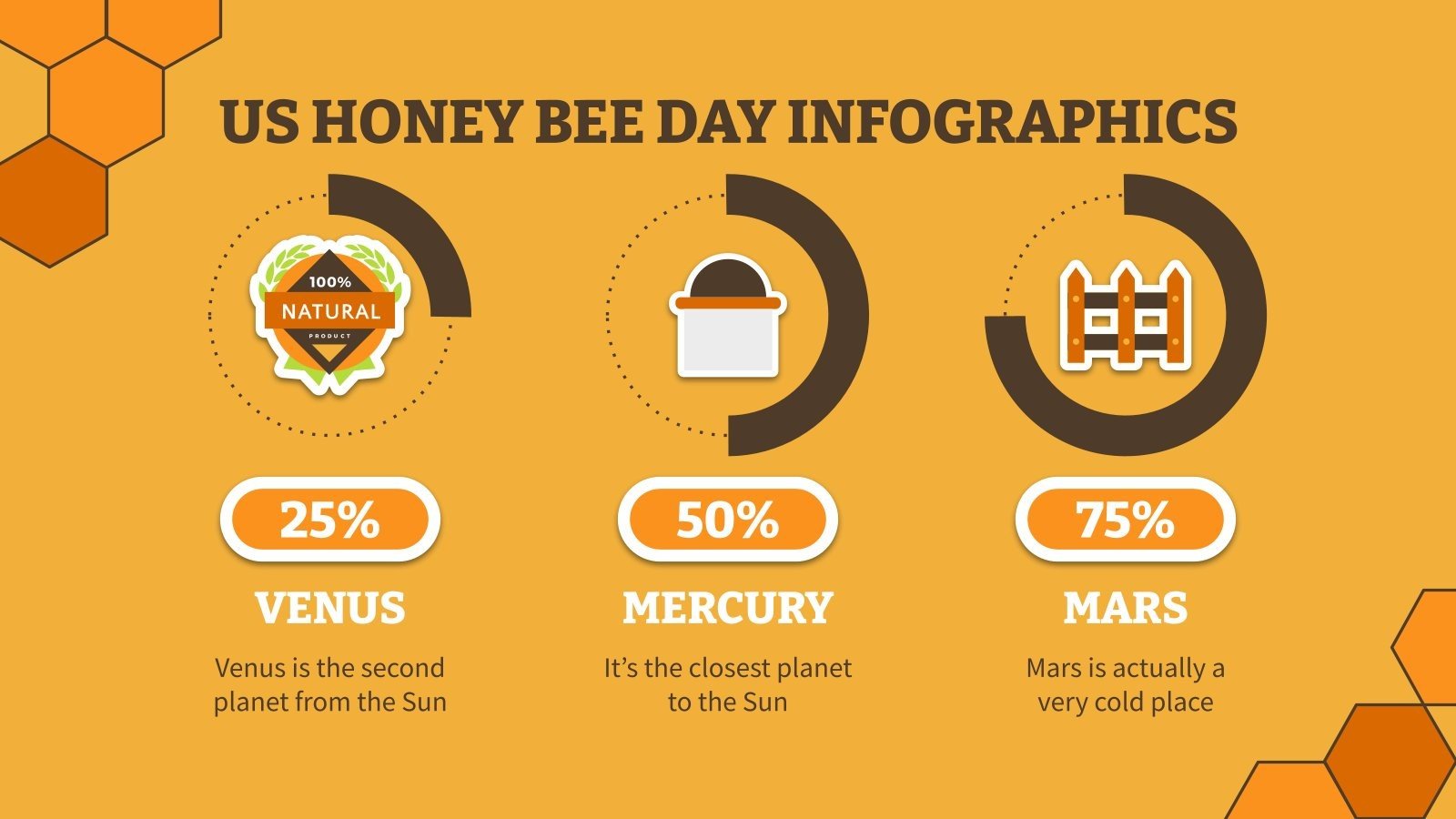 US Honey Bee Day Infographics | Google Slides & PowerPoint