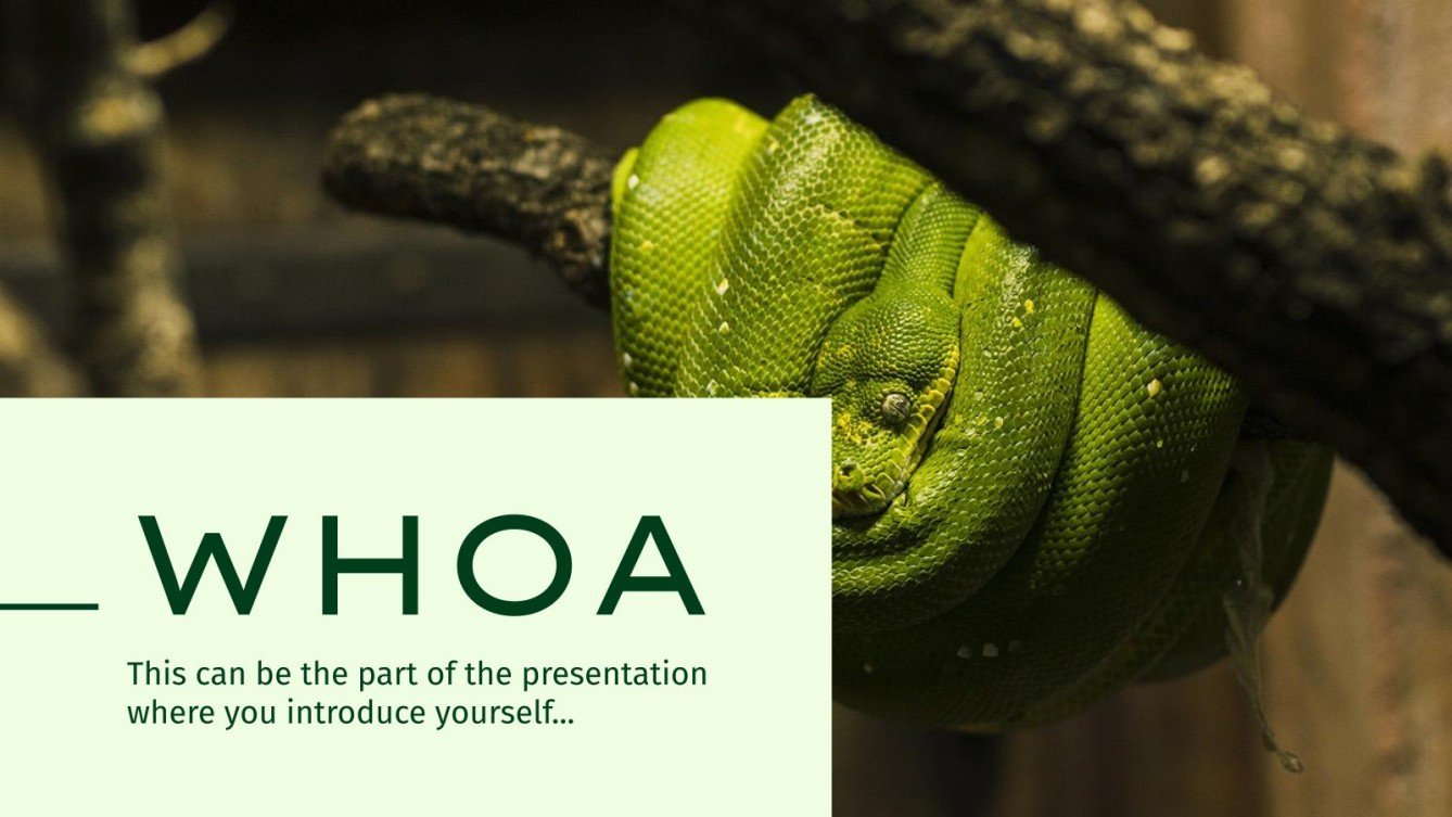 Into the Jungle Google Slides & PowerPoint template