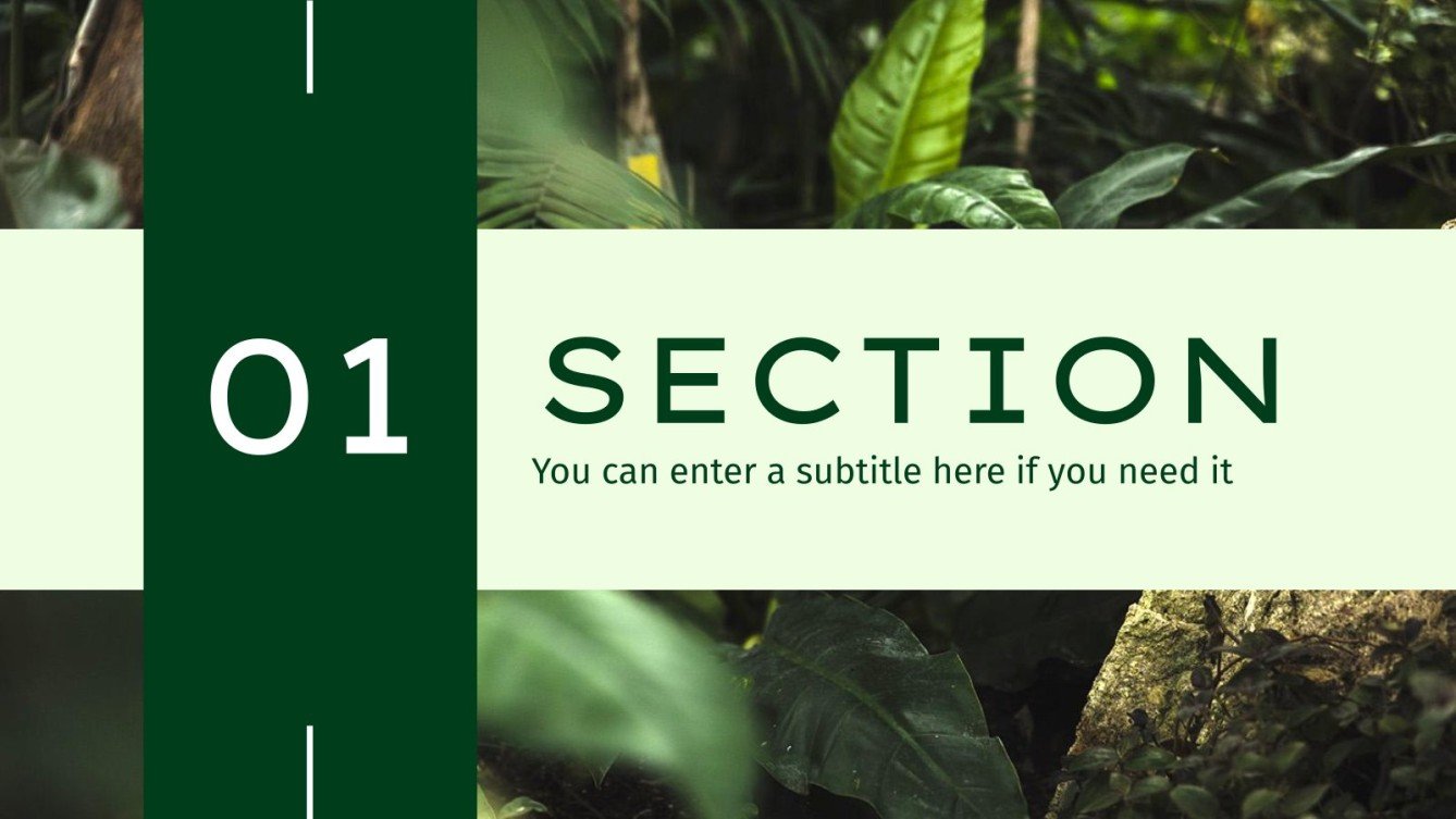 Into the Jungle Google Slides & PowerPoint template