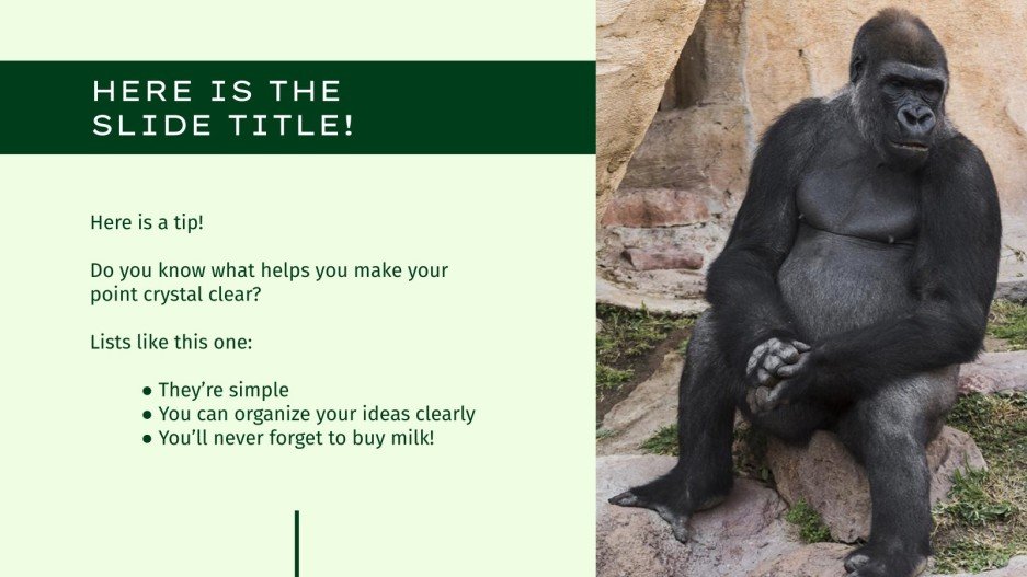 Into the Jungle Google Slides & PowerPoint template