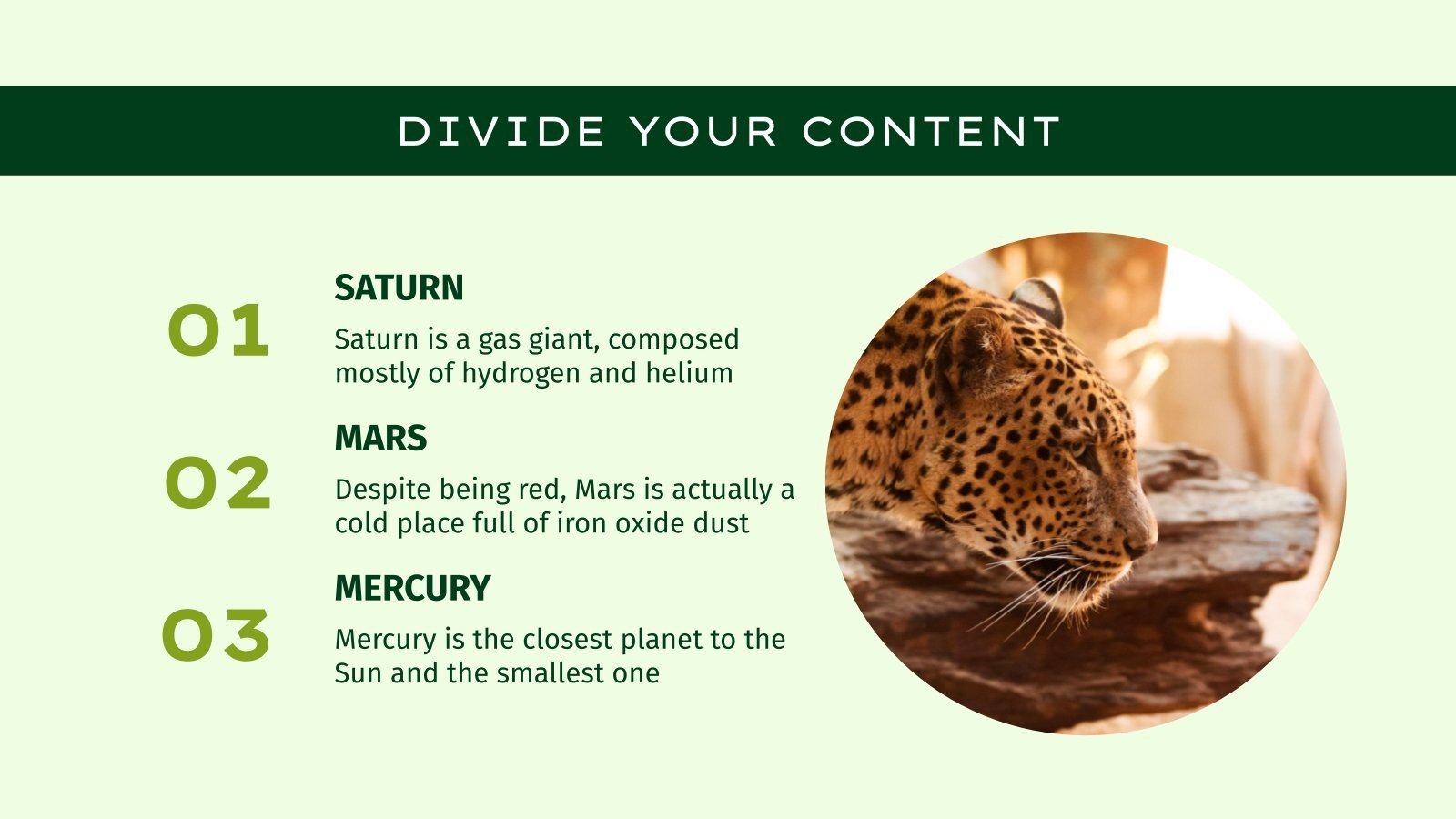 Into the Jungle Google Slides & PowerPoint template