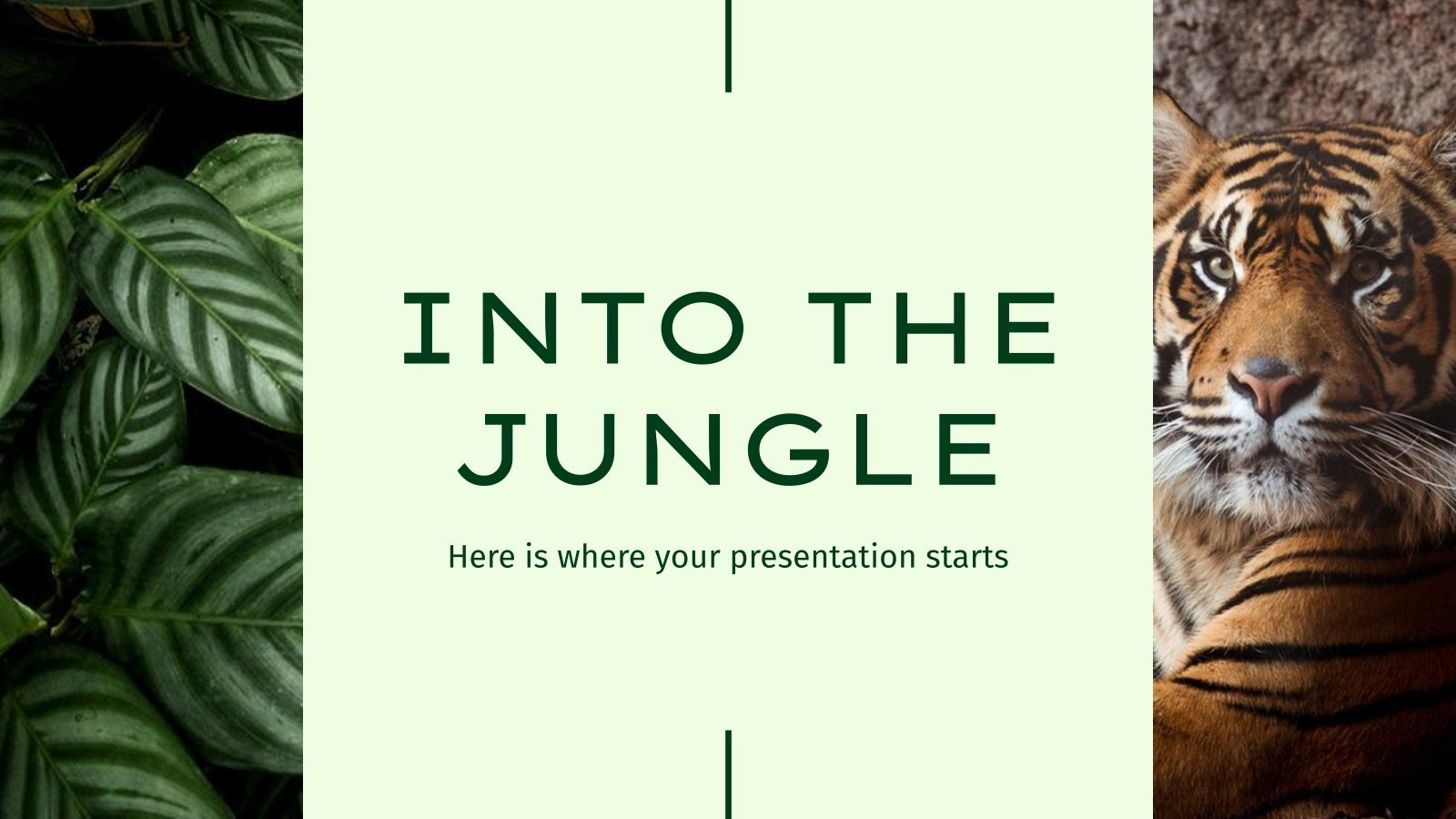 Kostenlose Tiere Google Slides Themen & PowerPoint Vorlagen