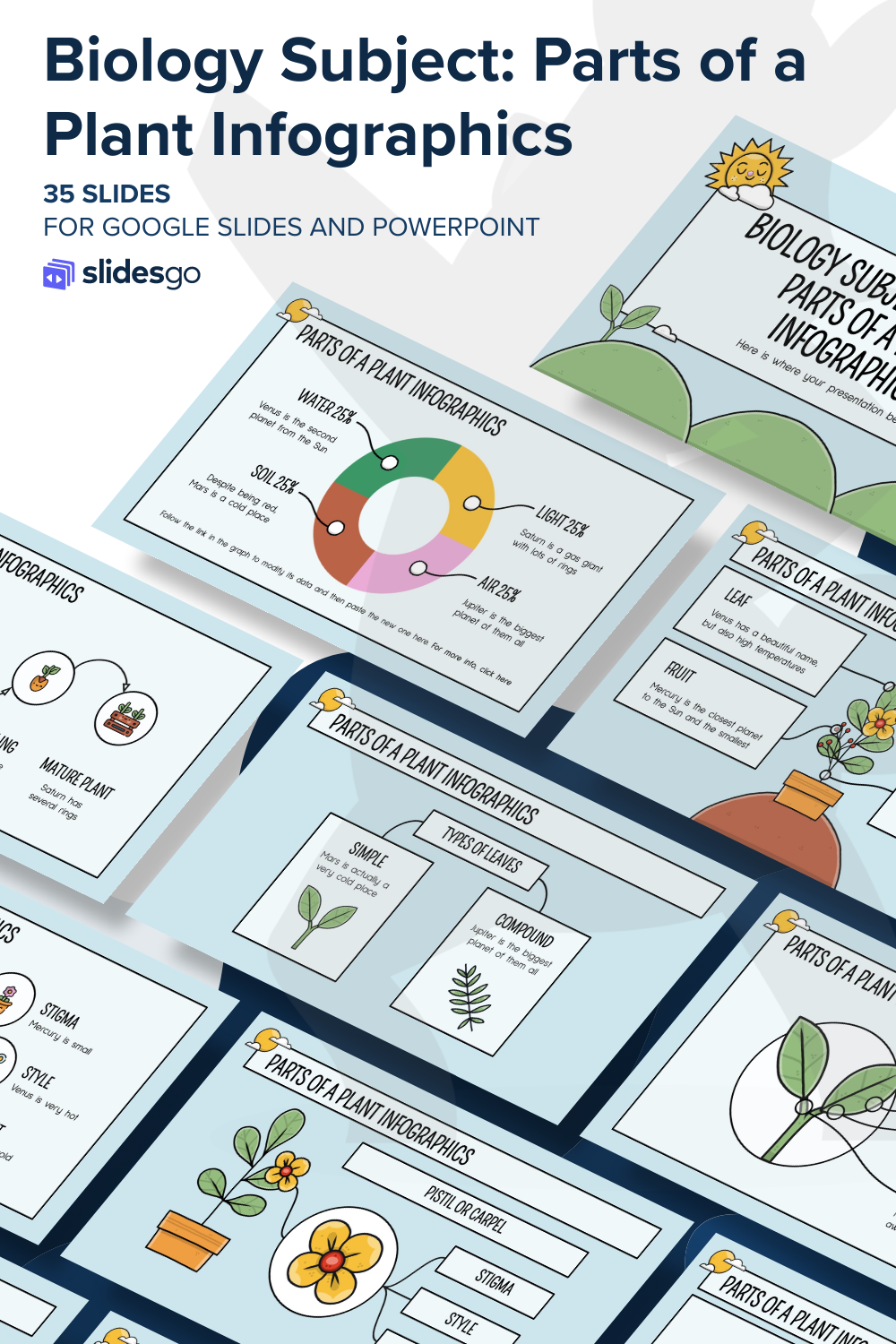 Biology Subject for Pre-K: Parts of a Plant Infographics