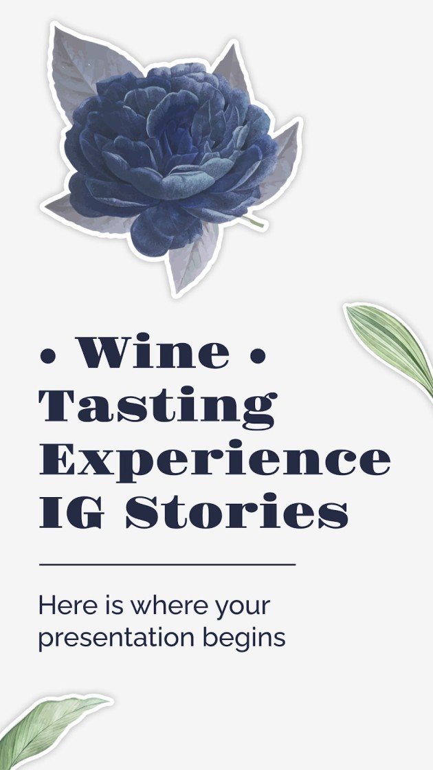Experiencia de cata de vinos IG Stories | Google Slides