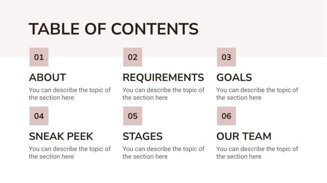 Customer Development Process Project Proposal