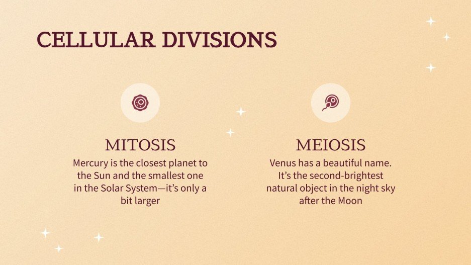 Reproduction in Animals | Google Slides and PowerPoint