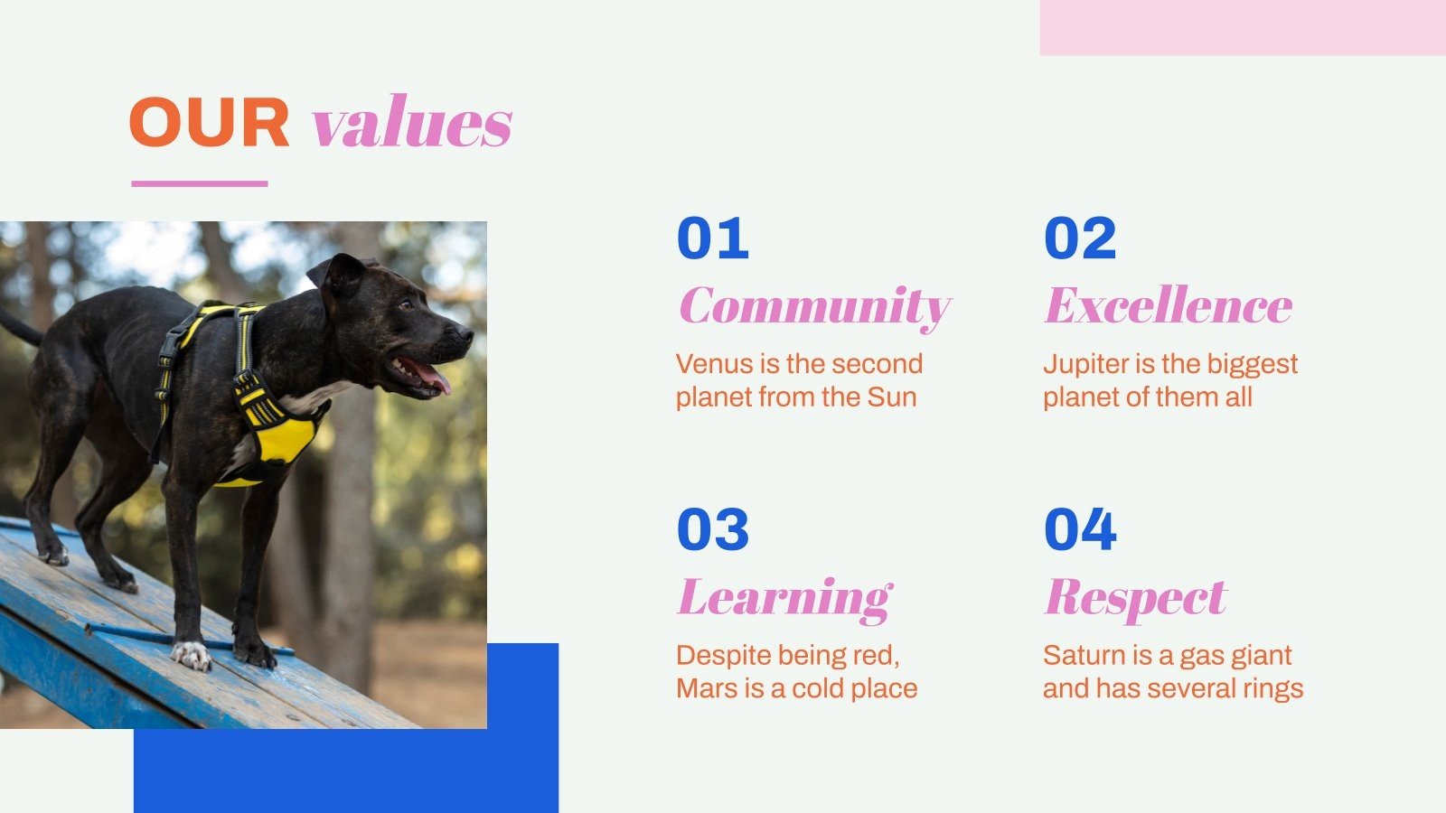 Dogs Obedience School | Google Slides and PowerPoint