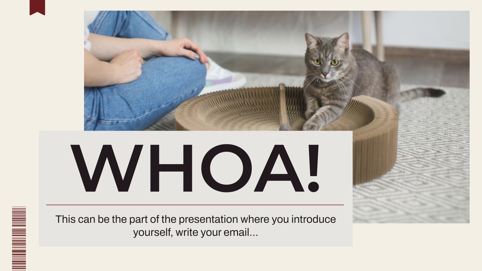 Appreciation Cat Lovers' Month | Google Slides & PPT