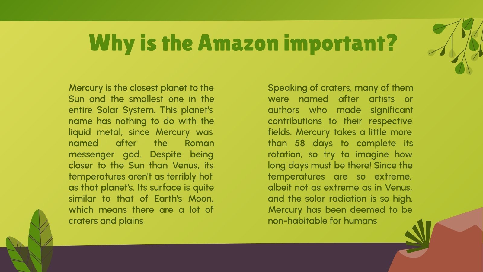 Elementary: The Amazon Rainforest | Google Slides and PPT