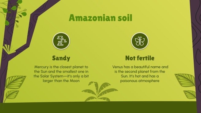 Elementary: The Amazon Rainforest | Google Slides and PPT