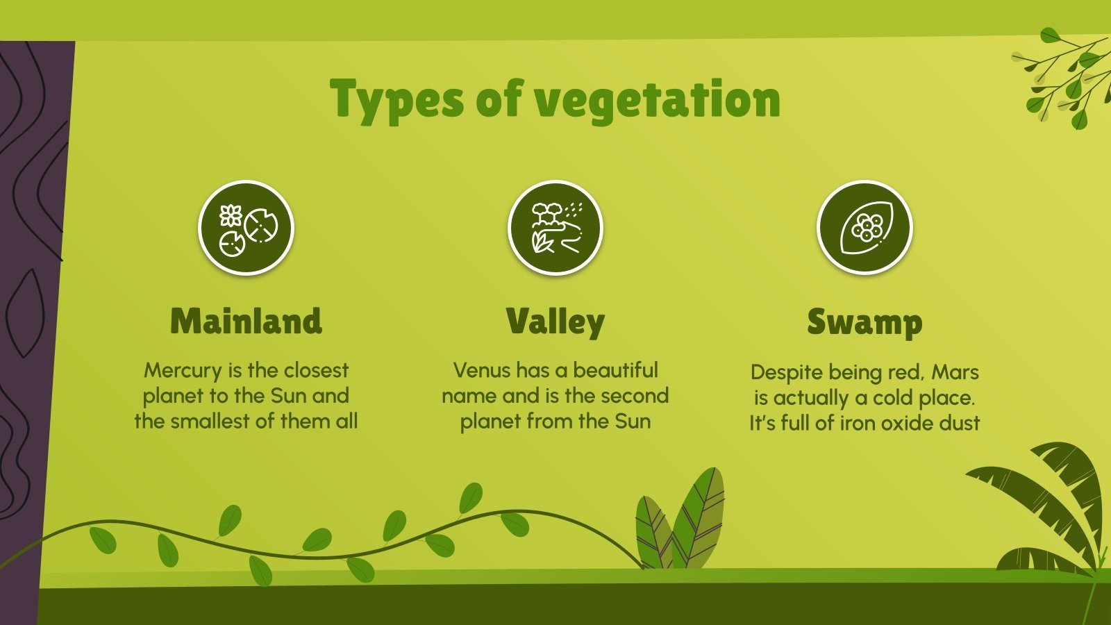 Elementary: The Amazon Rainforest | Google Slides and PPT