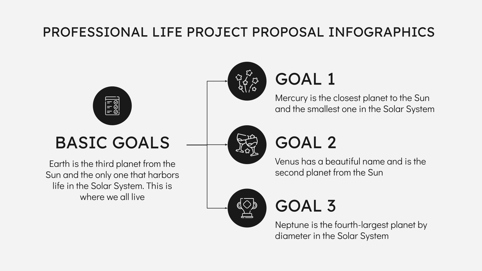 Professional Life Project Proposal Infographics