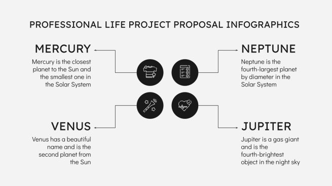 Professional Life Project Proposal Infographics