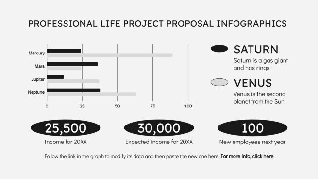 Professional Life Project Proposal Infographics