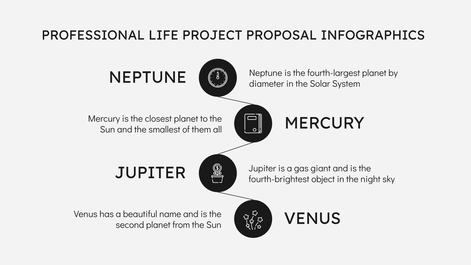 Professional Life Project Proposal Infographics