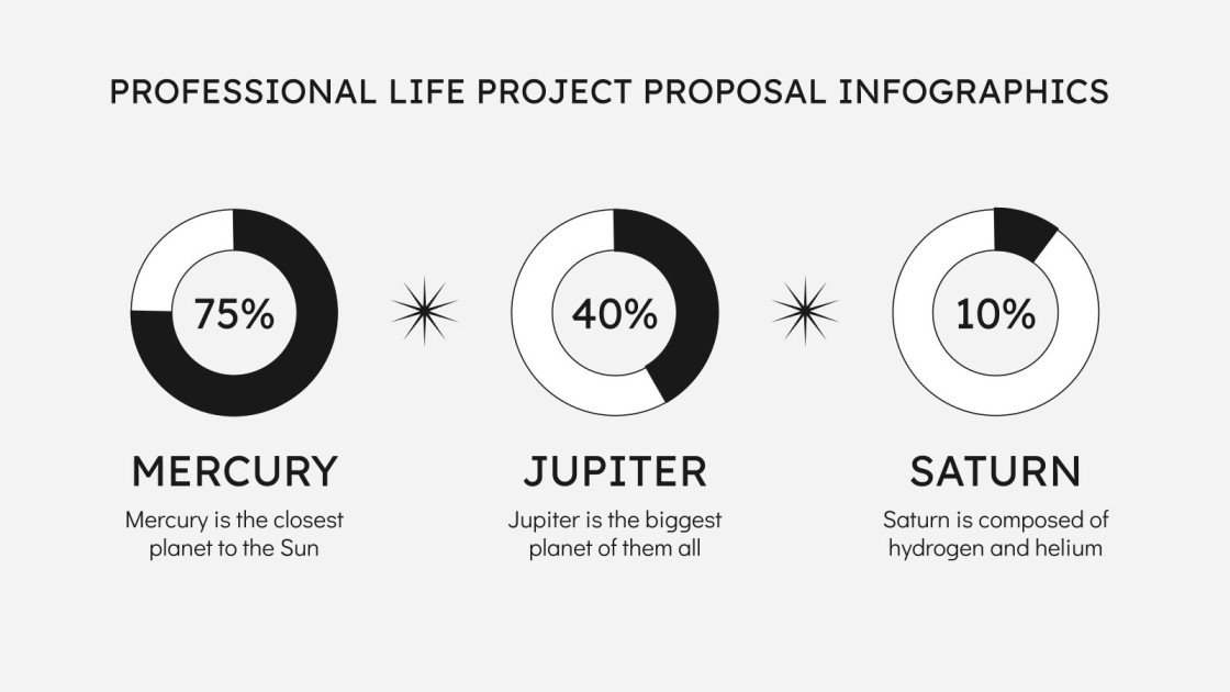 Professional Life Project Proposal Infographics