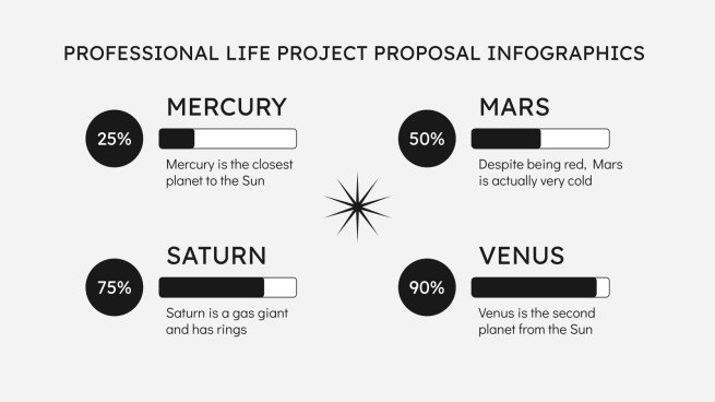 Professional Life Project Proposal Infographics