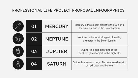 Professional Life Project Proposal Infographics
