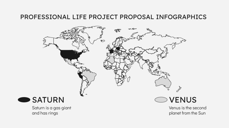Professional Life Project Proposal Infographics