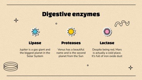 High School: Human Body - Digestive System | Google Slides