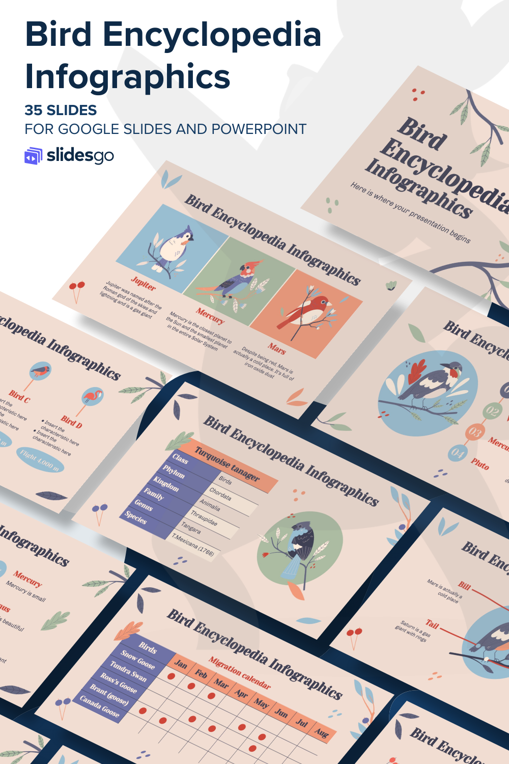 Bird Encyclopedia Infographics | Google Slides & PowerPoint