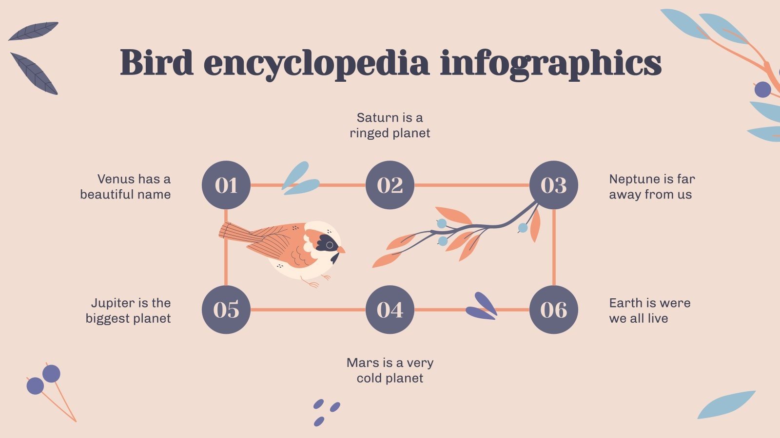 Bird Encyclopedia Infographics | Google Slides & PowerPoint