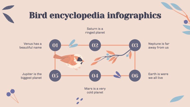 Bird Encyclopedia Infographics | Google Slides & PowerPoint