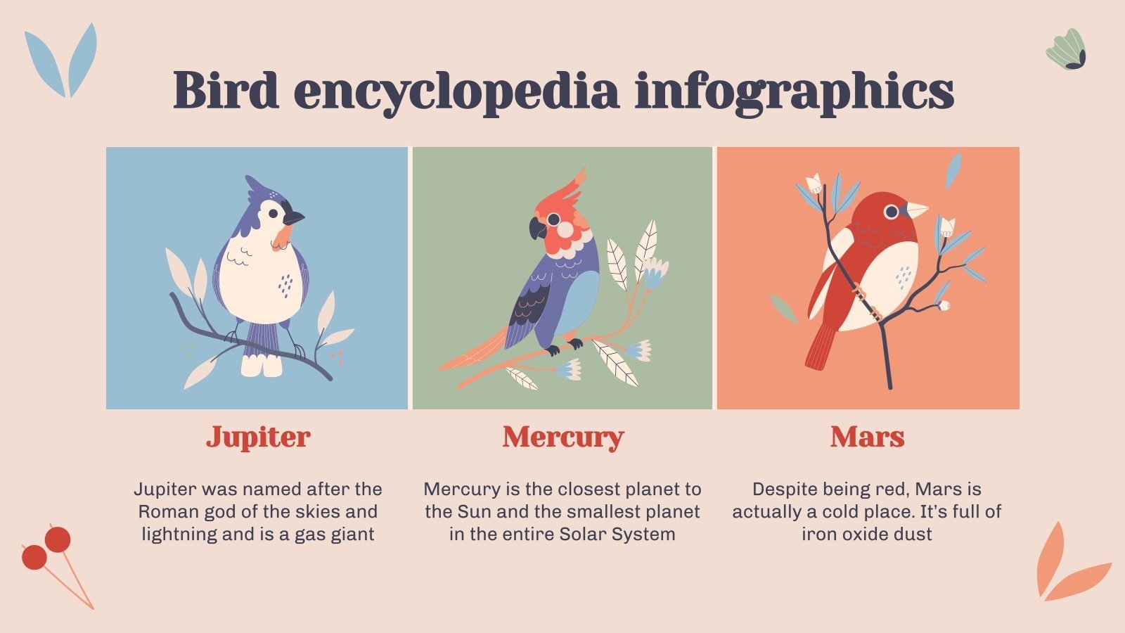 Bird Encyclopedia Infographics | Google Slides & PowerPoint