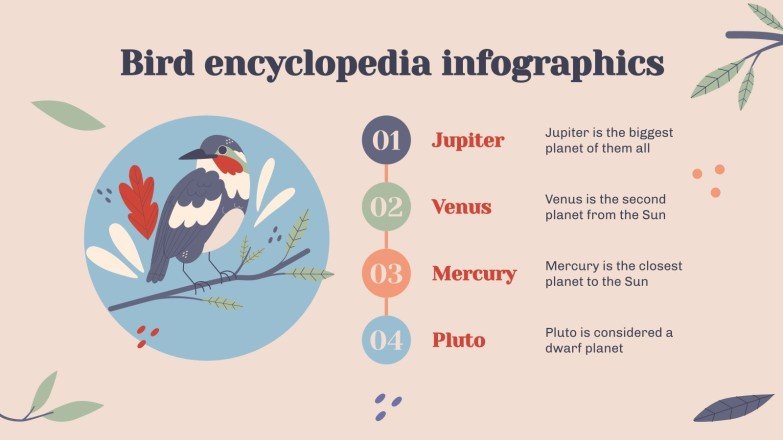 Bird Encyclopedia Infographics | Google Slides & PowerPoint