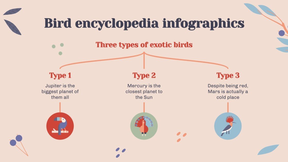 Bird Encyclopedia Infographics | Google Slides & PowerPoint
