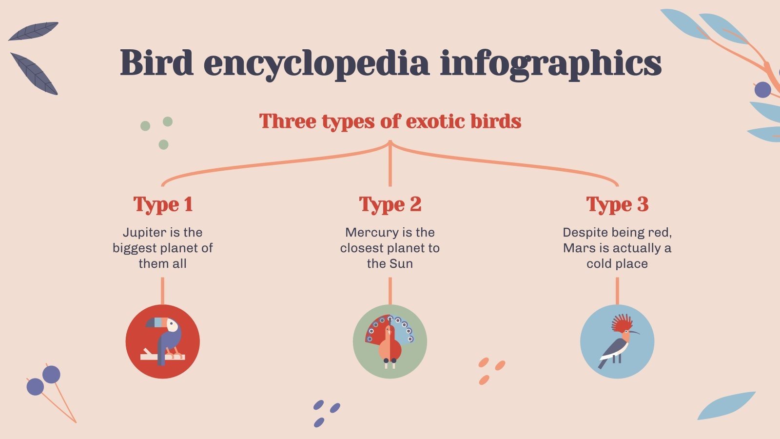 Bird Encyclopedia Infographics | Google Slides & PowerPoint