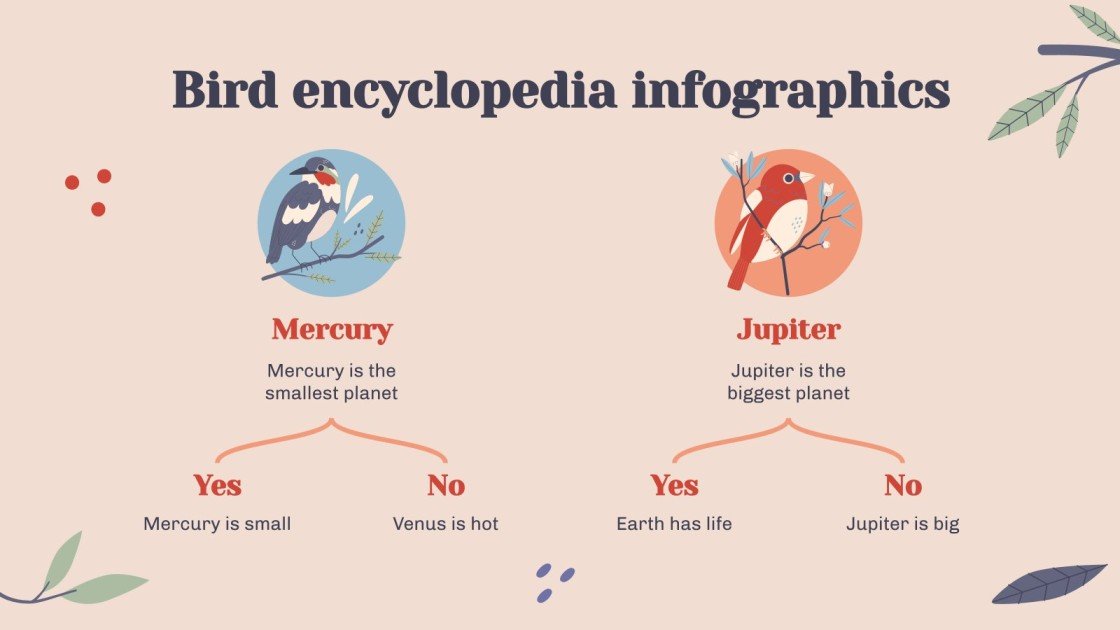 Bird Encyclopedia Infographics | Google Slides & PowerPoint