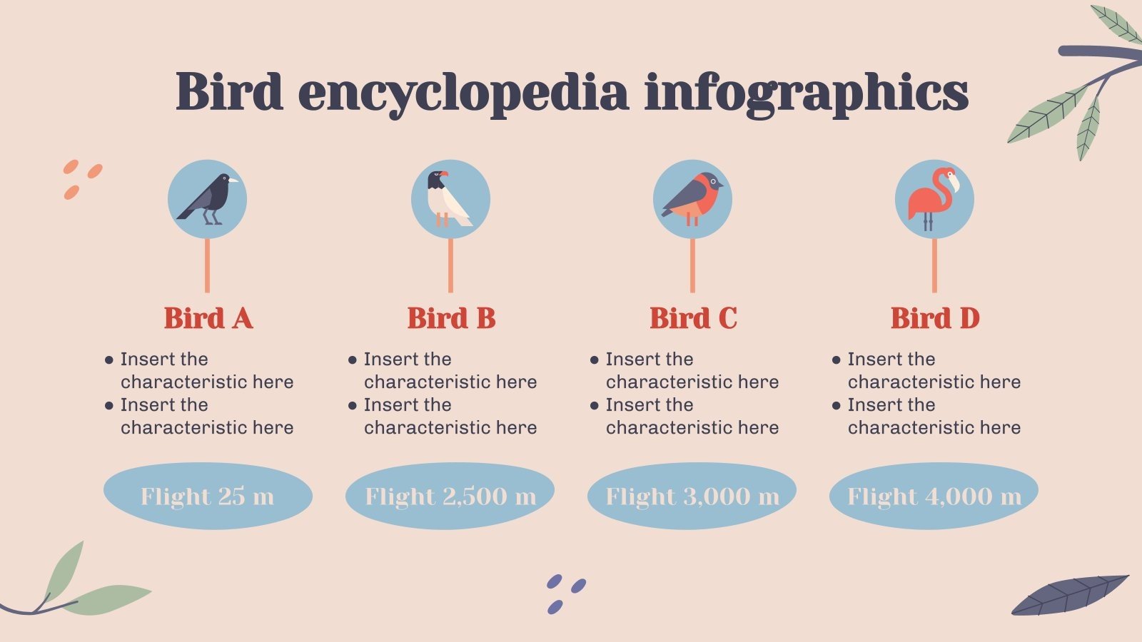 Bird Encyclopedia Infographics | Google Slides & PowerPoint