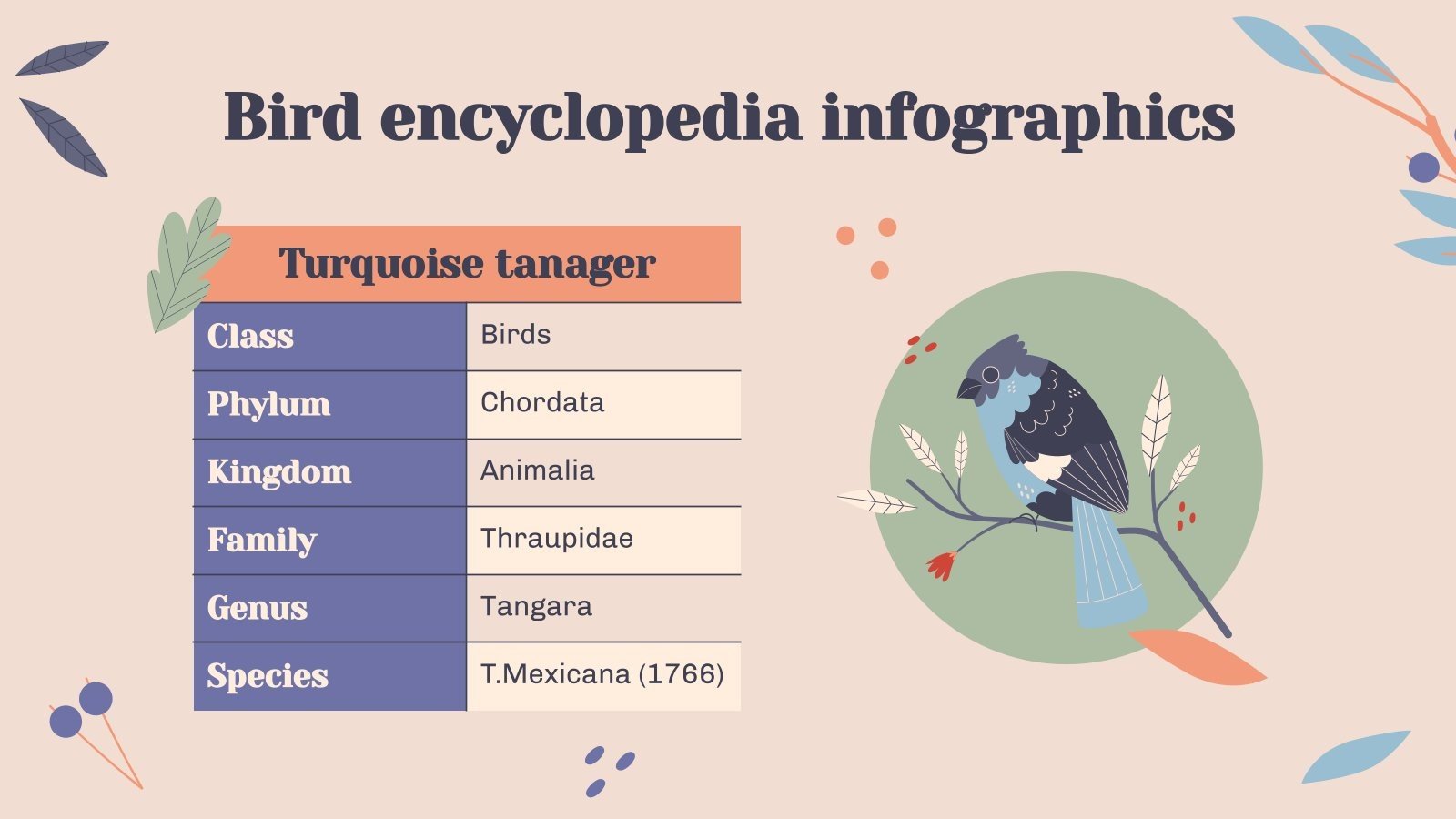 Bird Encyclopedia Infographics | Google Slides & PowerPoint