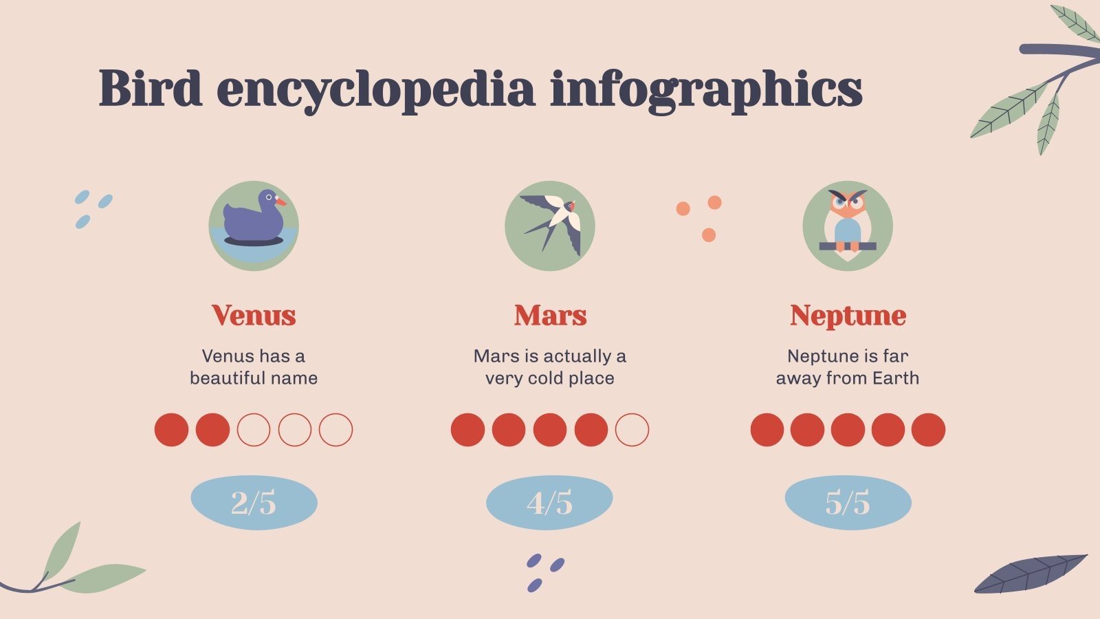 Bird Encyclopedia Infographics | Google Slides & PowerPoint