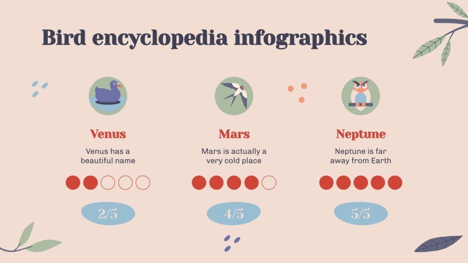 Bird Encyclopedia Infographics | Google Slides & PowerPoint