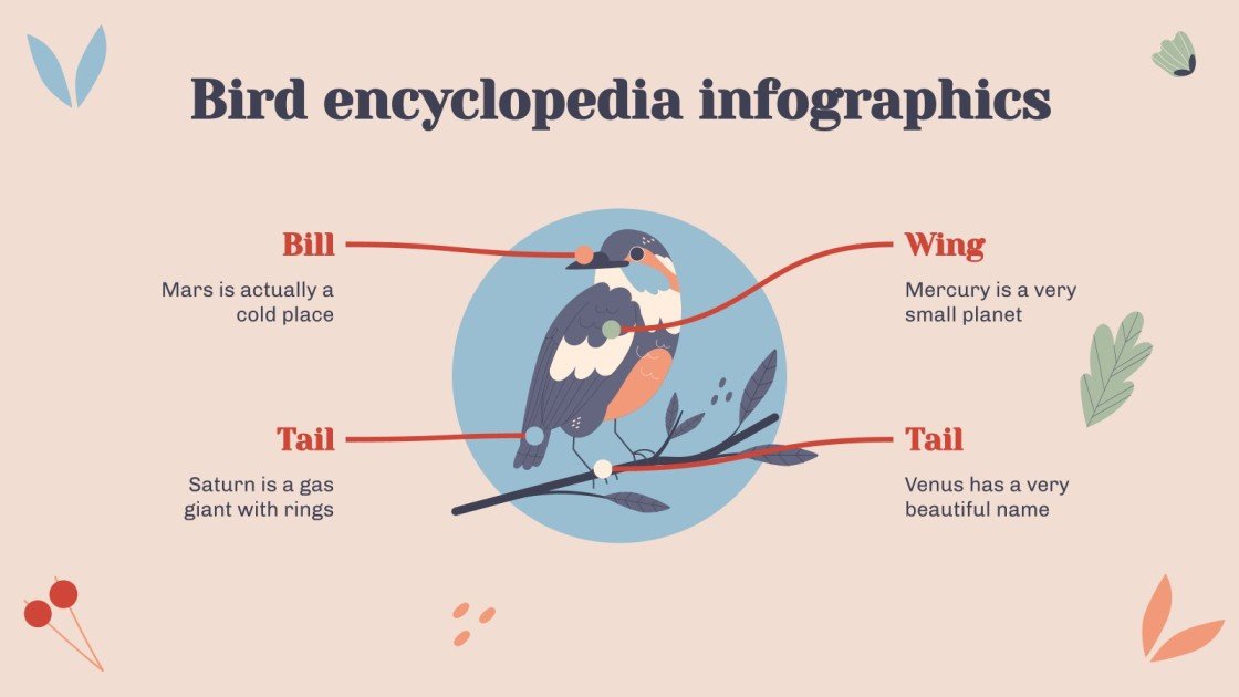 Bird Encyclopedia Infographics | Google Slides & PowerPoint