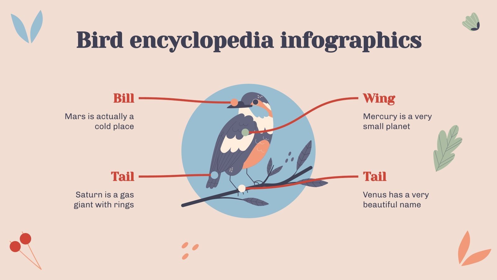 Bird Encyclopedia Infographics | Google Slides & PowerPoint