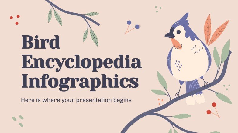 Free bird-based Google Slides & PowerPoint Templates