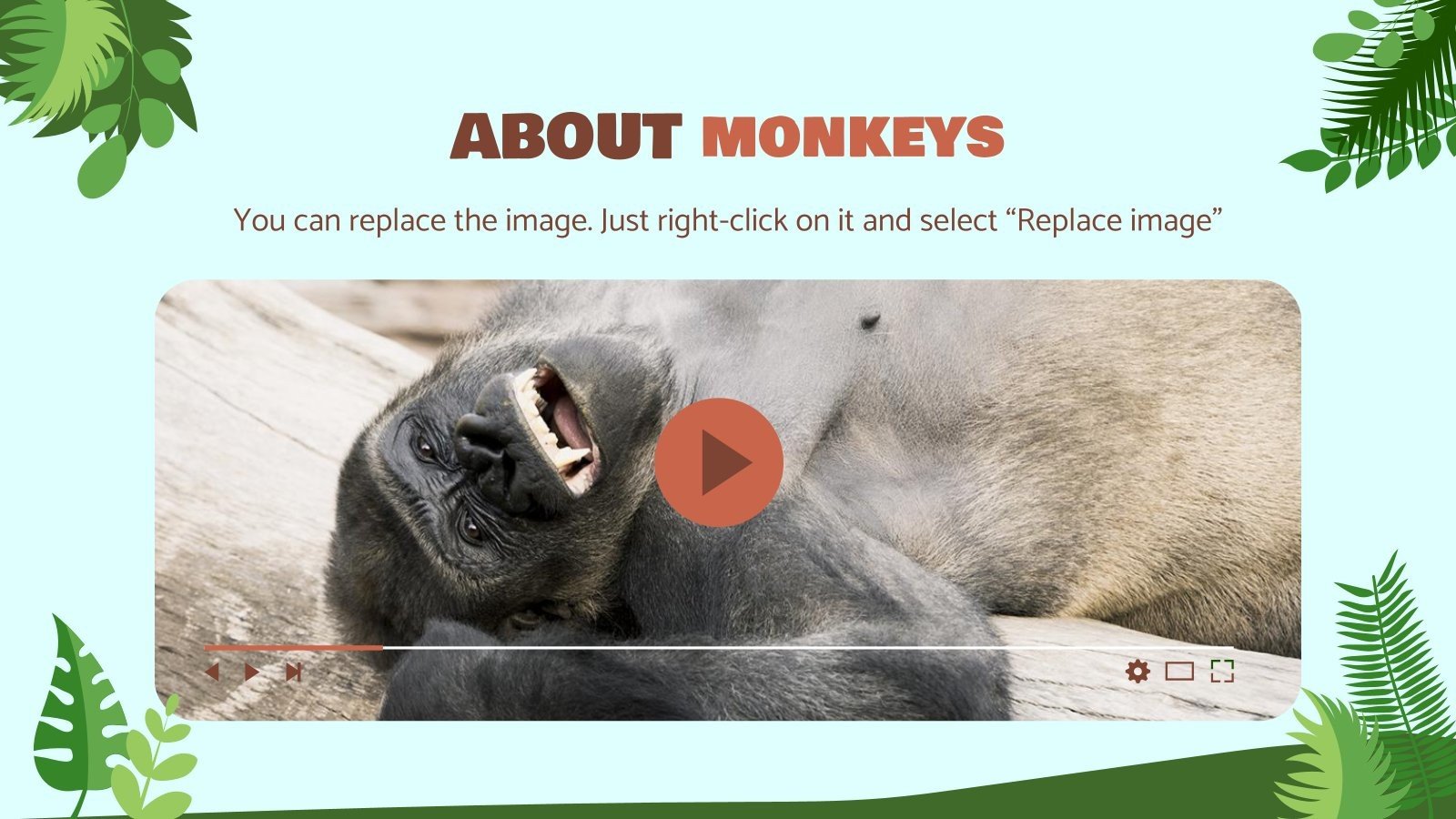 Let's Celebrate World Monkey Day!