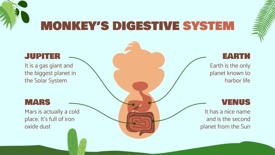 Let's Celebrate World Monkey Day!