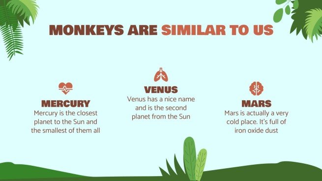 Let's Celebrate World Monkey Day!