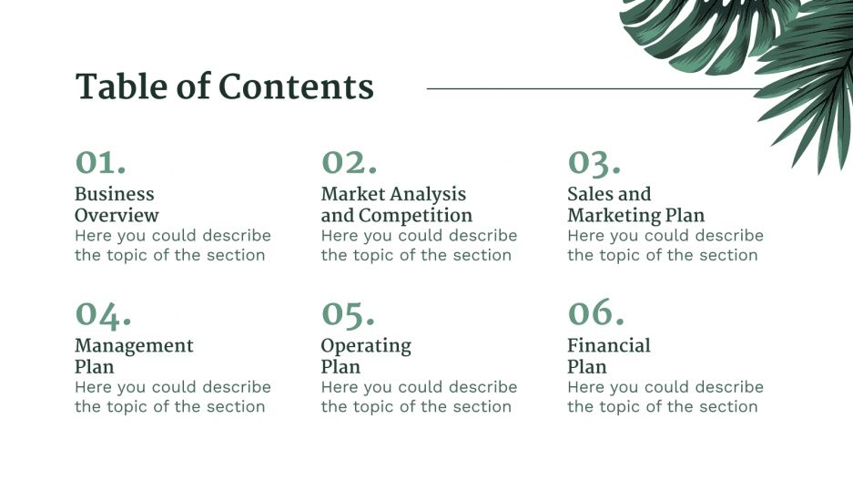 Pical Platform Business Plan Google Slides & PPT template