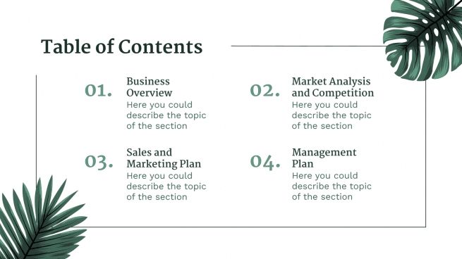 Pical Platform Business Plan Google Slides & PPT template