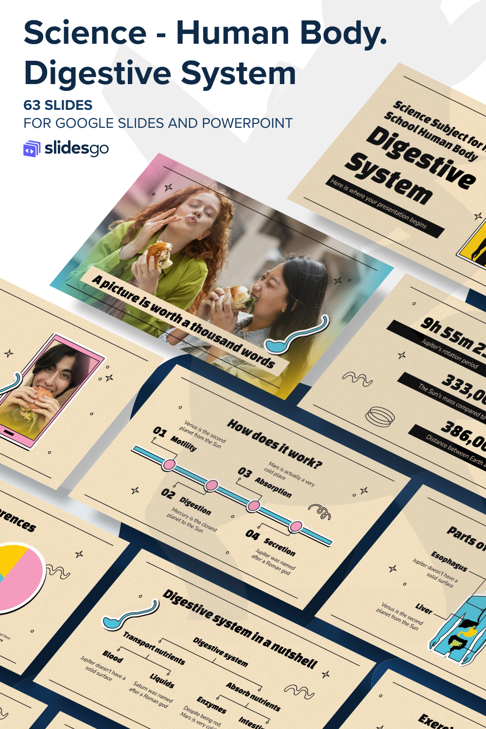 High School: Human Body - Digestive System | Google Slides