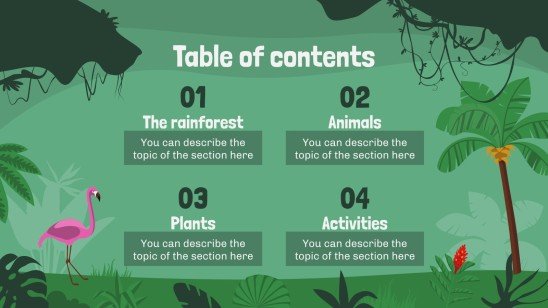 Biology Subject for Elementary: Tropical Rainforest Wildlife